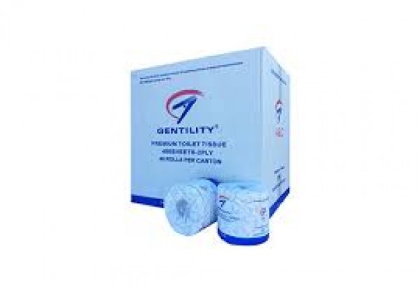 Buy Cheap Gentility Toilet Tissue 2Ply 400 SHEETS 48 Roll/ctn Online ...